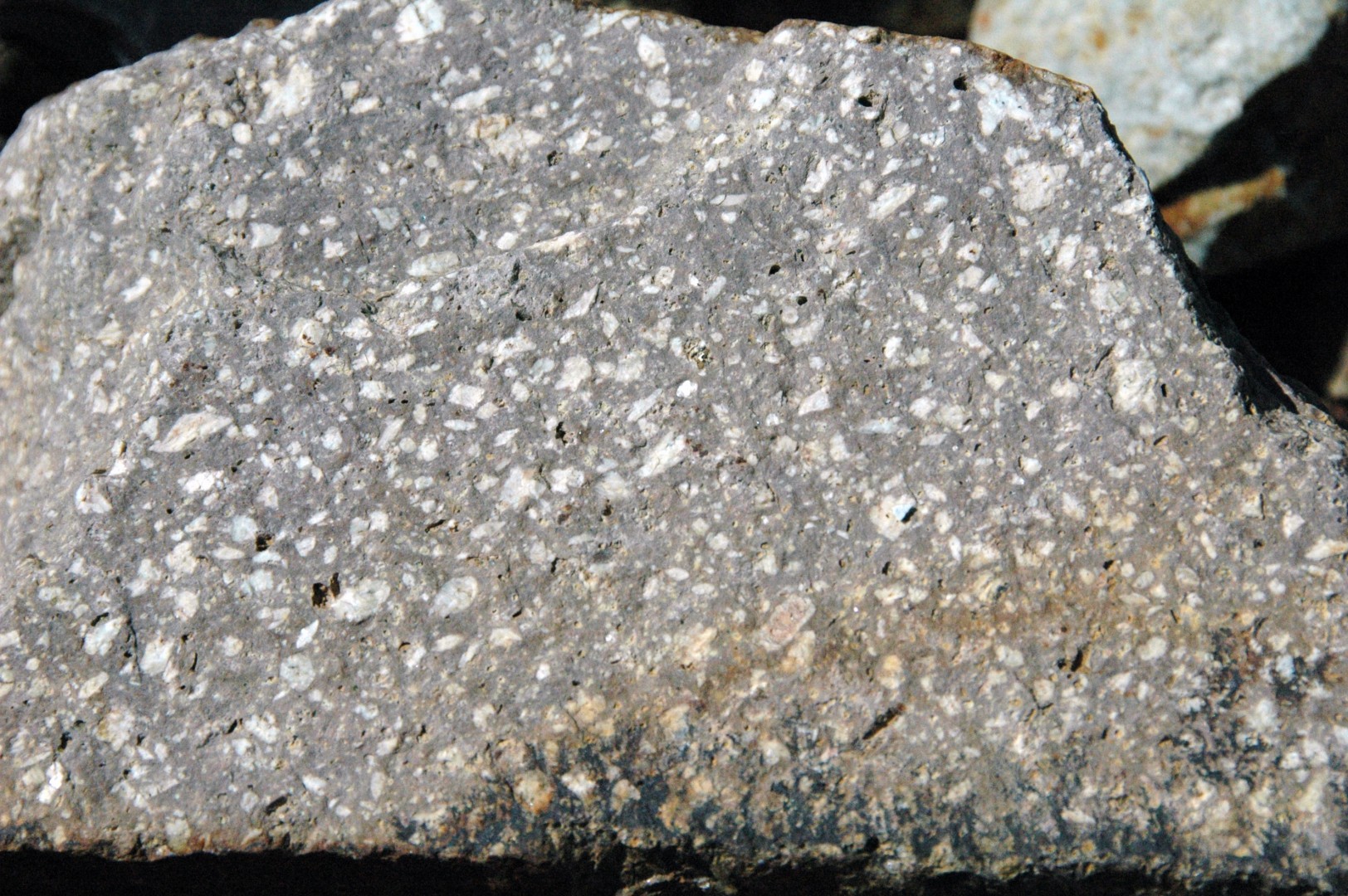 Roccia Afanitica Roccia Enciclopedia Treccani