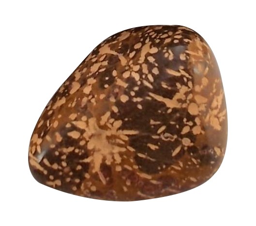 Starburst Jasper (Starburst Jasper) - Rock Identifier