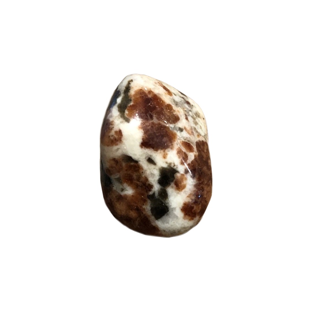 セキヘキギョク(赤碧玉) (Red Jasper tumbled) - Rock Identifier セキヘキギョク(赤碧玉) (Red Jasper tumbled) - Rock Identifier