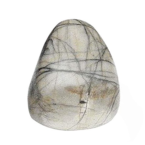 Picasso Stone tumbled (Picasso Stone tumbled) - Rock Identifier