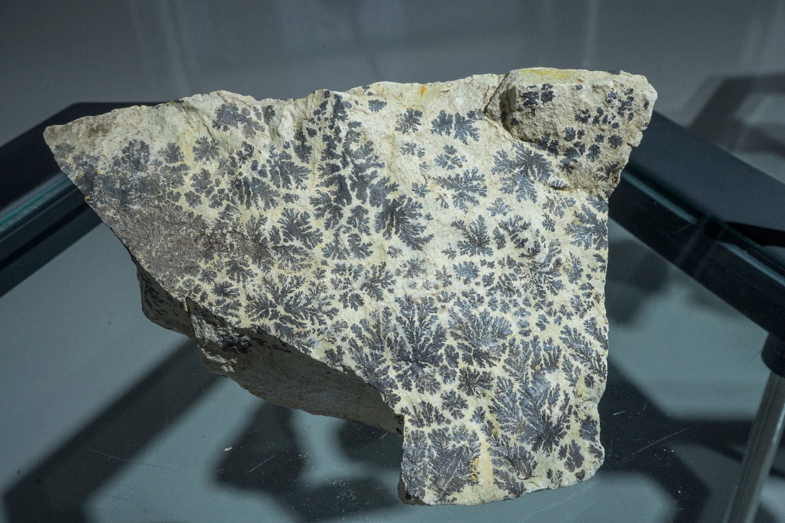 Dendrita (Dendrite Rock) - Rock Identifier