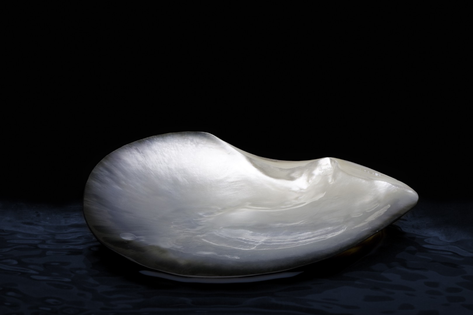 Nácar (Nacre) - Rock Identifier