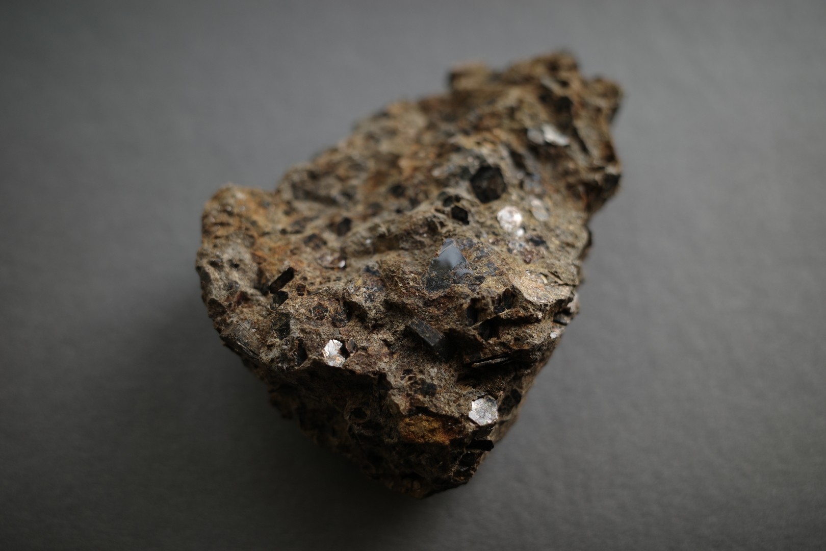 Lamprófido (Lamprophyre) - Rock Identifier