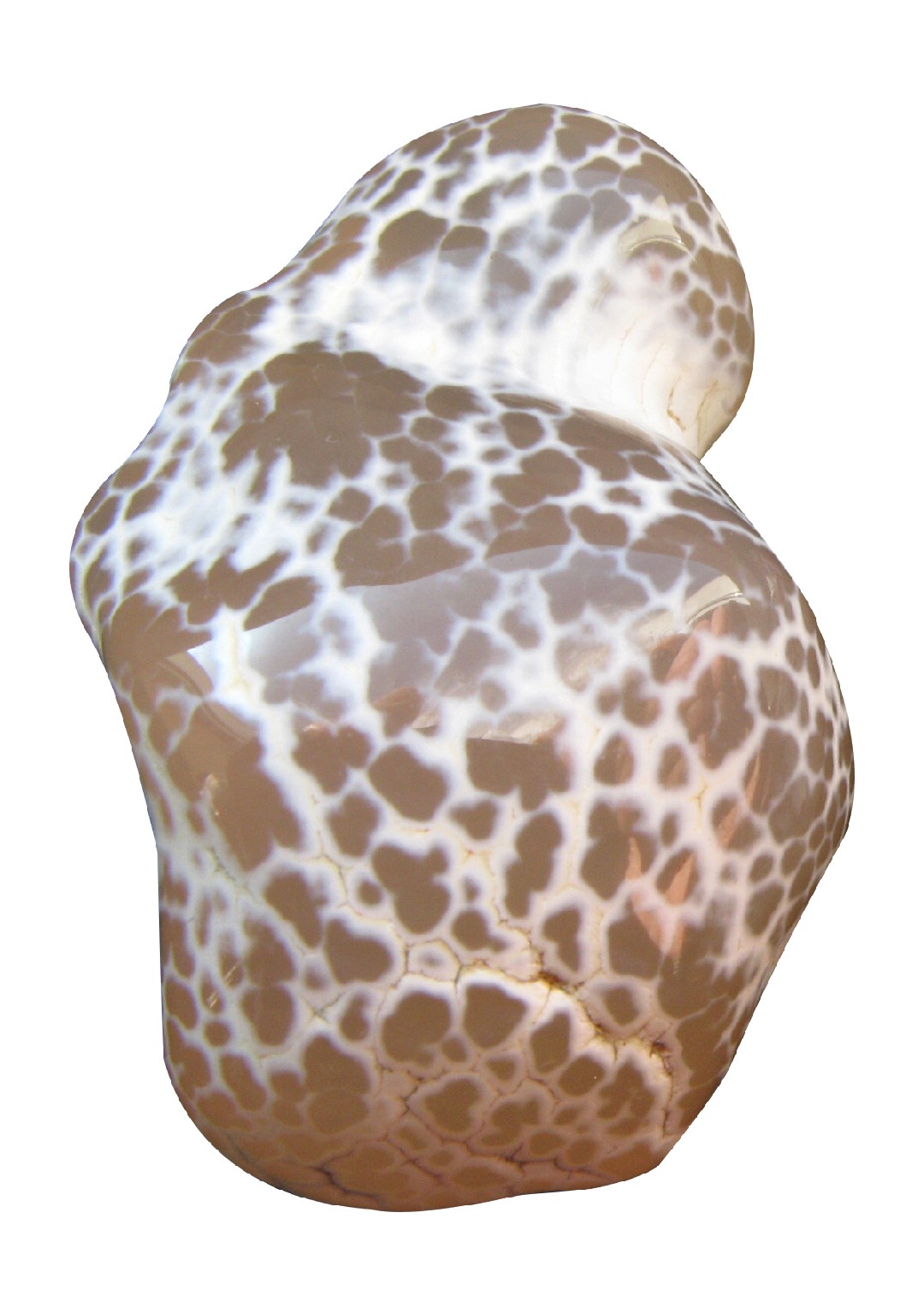 Ágata piel de serpiente (Snakeskin Agate) - Rock Identifier