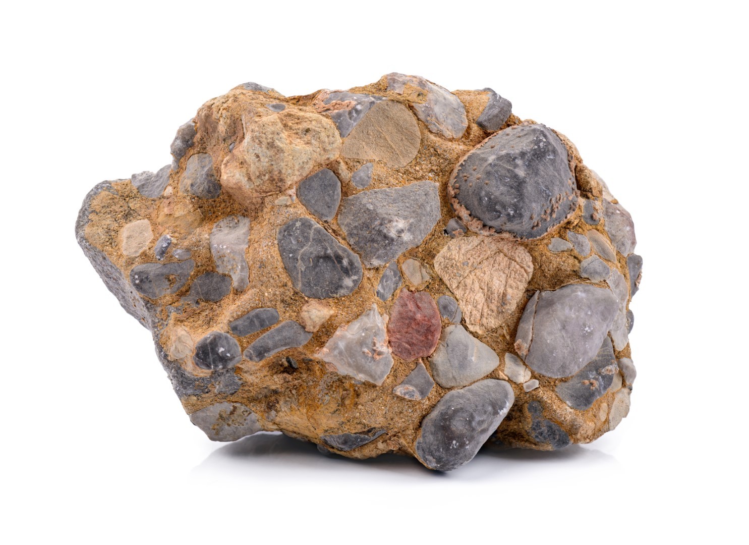 Conglomerate How to identify it? - Rock Identify